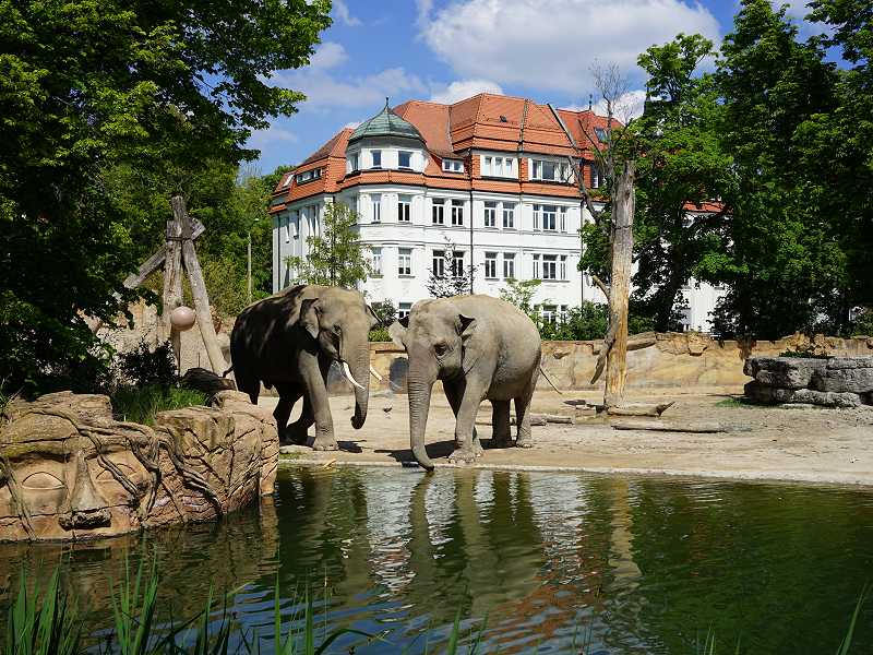 Zoo Leipzig, Tipps für Besucher, Adresse, Öffnungszeiten