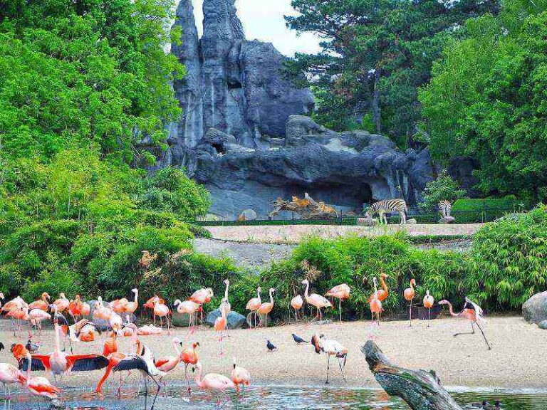 Tierpark Hagenbeck in Hamburg, Tickets, Öffnungszeiten